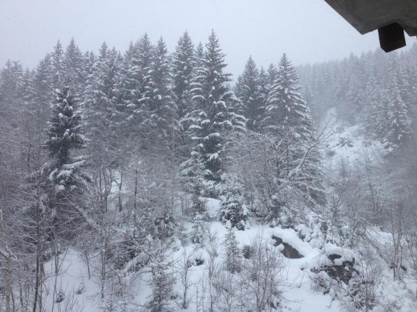La Tania Courchevel 73120 - Courchevel