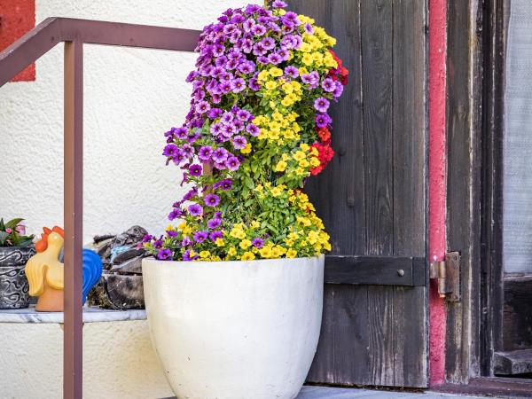 Hotel- Pension Oechsner - Bad Reichenhall