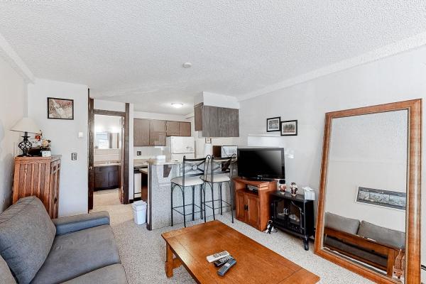 Wildernest Getaway - Silverthorne, CO