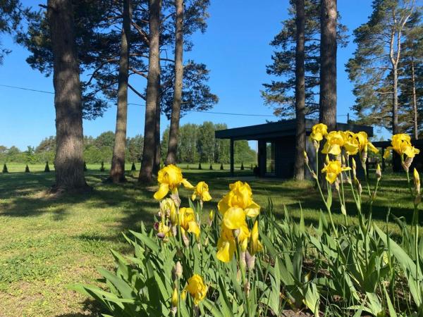 Villa Männituka Suvetuba - Estland