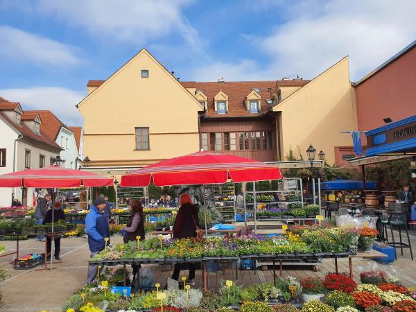 Dolac Guesthouse - Zagreb