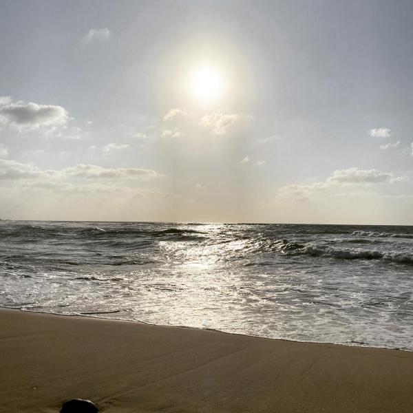 I Lentischi - Castelsardo