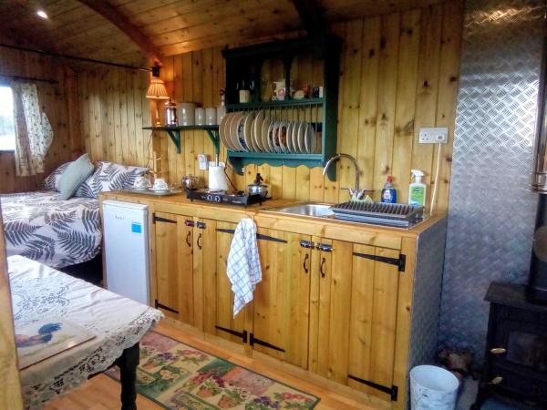 Lower Haven Shepherds Hut - Bath