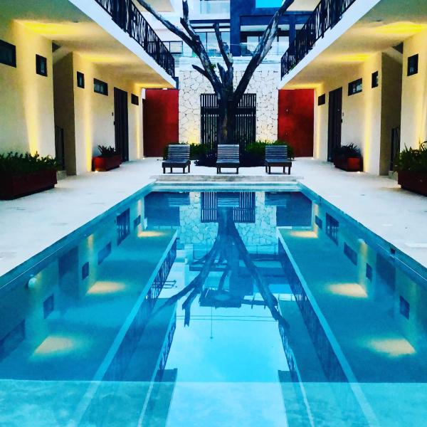 La Casa Del Buho Tulum - Tulum