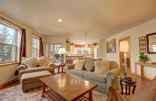 101 Streamside Lane Condo - Frisco, CO