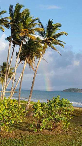 Free Wifi 1st Floor Beach Apartment - Ceiba