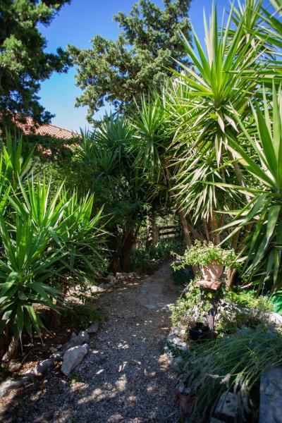 Apartments Yucca - Stara Novalja