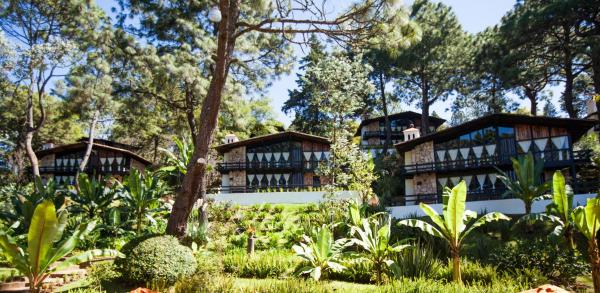 Monteverde - Michoacán