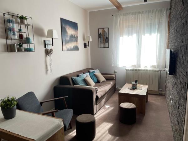 Lola Apartment - ŽUpa, Kopaonik - Kopaonik