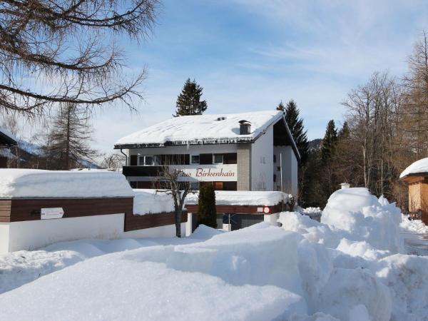 Apartment Am Birkenhain-8 By Interhome - Seefeld in Tirol