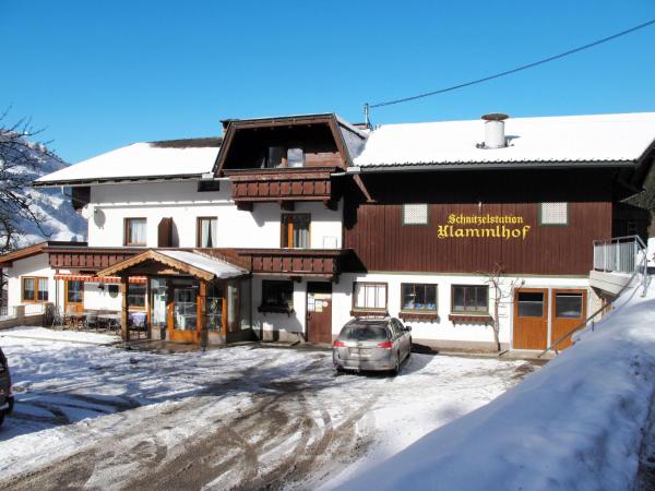 Apartment Klammlhof-4 By Interhome - Zell am Ziller