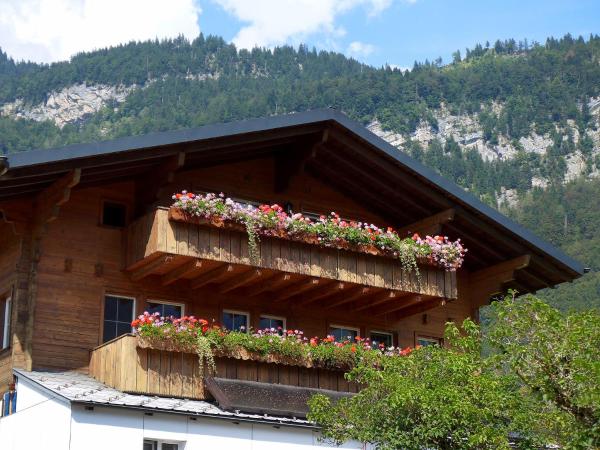 Apartment Oltschiblick By Interhome - Meiringen