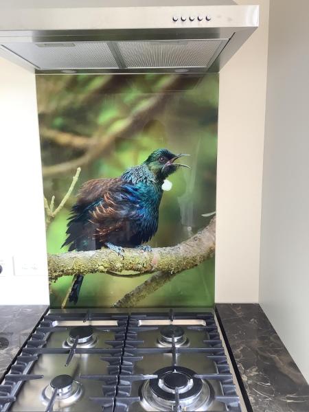 Tui Cottage - Moeraki