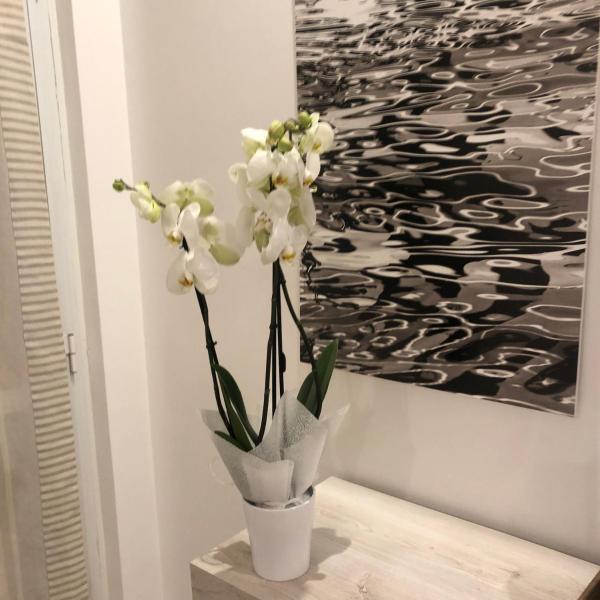 La Casa Di Gio Golf Tennis E Parcheggio Privato - Rapallo