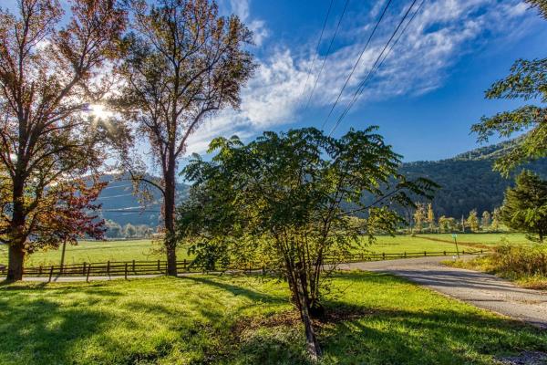 Papa Bear, Hot Tub, Wifi, 560 Free Tickets Each Paid Day!!! - Townsend, TN