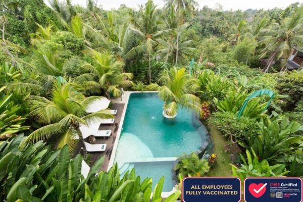 Suite Valley - Bali