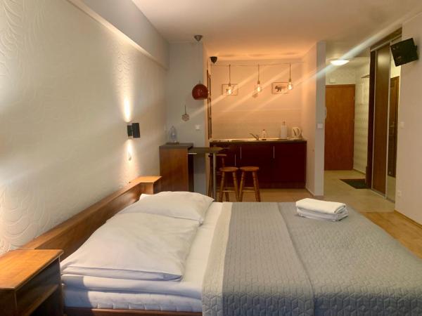 Krynica Apartamenty Studio Centrum 62 Parking - Krynica-Zdrój