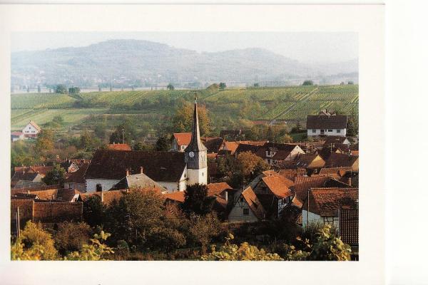 Les Hirondelles - Wasselonne