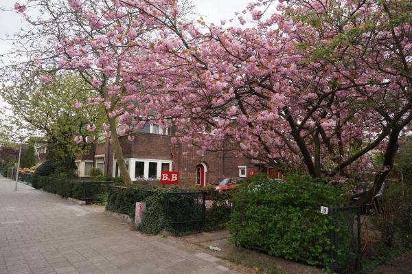 Xaviera's Bed And Breakfast - Aalsmeer