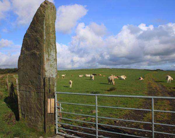 Eluneds Place - Angleterre