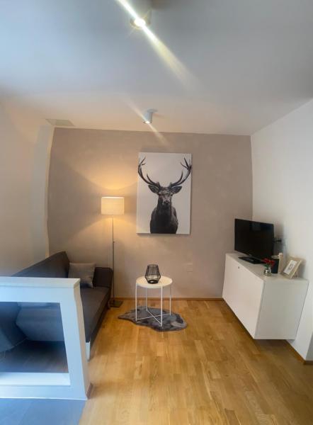Appartement In Graz-geidorf - Austria