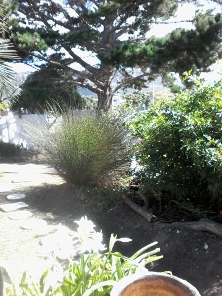 40 On Main , Self Catering Unit 6 -