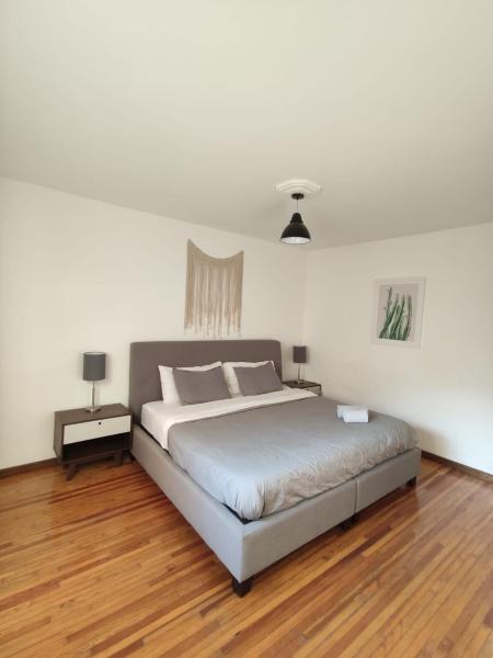 1br Beautiful Apartment In Condesa - Mexico City
