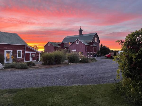 The Eddie Hotel And Farm - Prince Edward