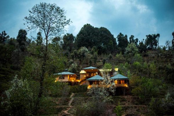 The Foliage - Uttarakhand