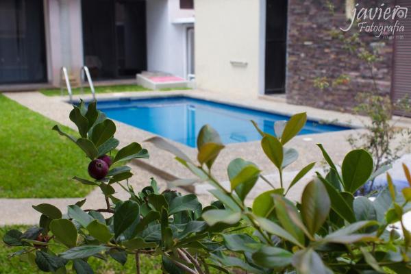 Lofts En Cuernavaca Con Alberca Climatizada - Cuernavaca