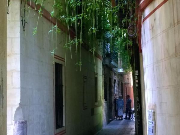 Calle Verde 9 - Portugal