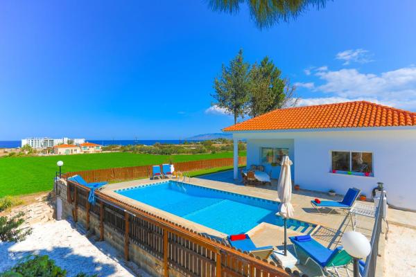 The Vines - Полис