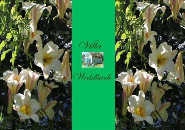 Ferienwohnung Am Wörthersee Villa Waldbach - Klagenfurt