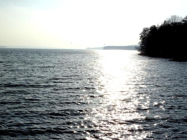 Neubrandenburg-wasser,natur,zentrum,ladestation Für E-autos - Neubrandenburg