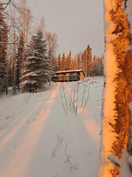 Northwoods Cottage Bed And Breakfast - Alaska
