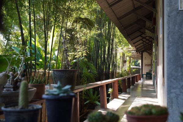 Wanmai House - Chiang Mai