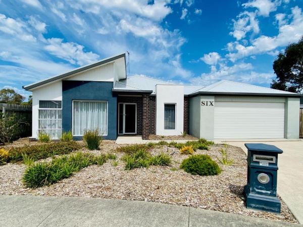 Goodenia Vibes - Wonthaggi