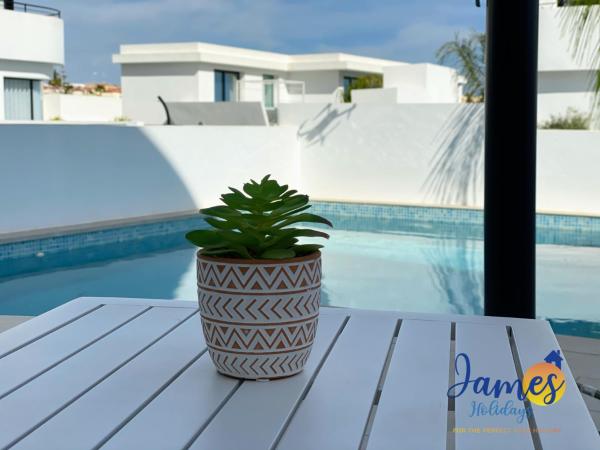Luxurious Villa Private Pool La Marina Urb Lm3 - La Marina