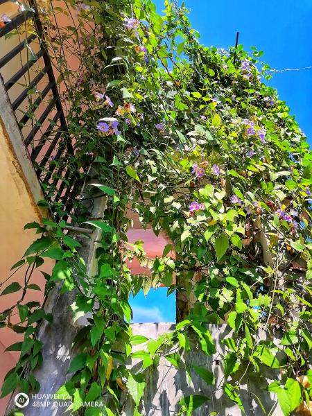 Knt Villa - Mirissa