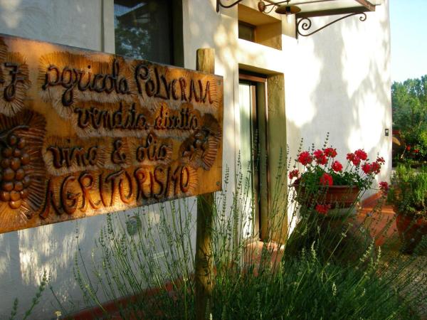 Azienda Agricola Polveraia - San Gimignano