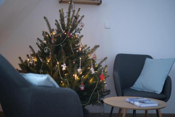 Apartamenty Widokowe Zakopane - Tatrzański Park Narodowy