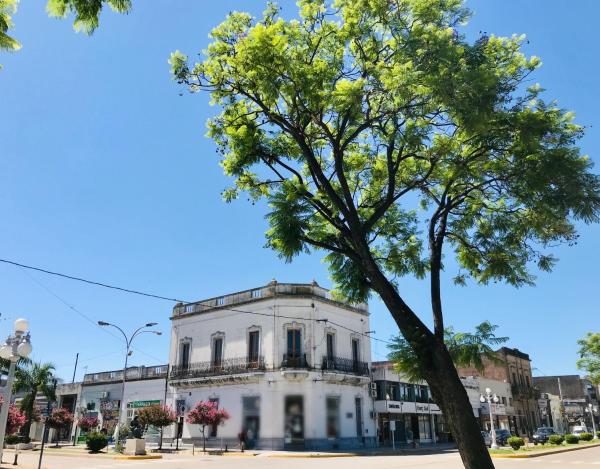 Dia 32 Guest House - Esperanza