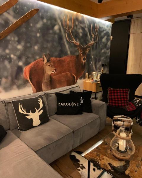 Apartament Góralska Nuta Spa Basen & Sauna - Zakopane