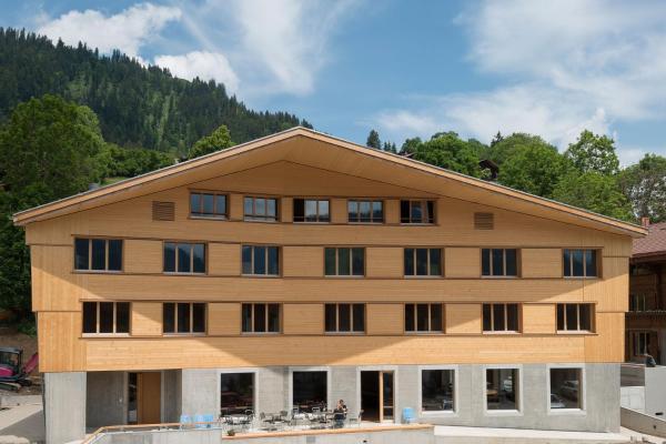 1 Bed In A 4-bed Mixed Dorm | Saanen Gstaad - Saanen