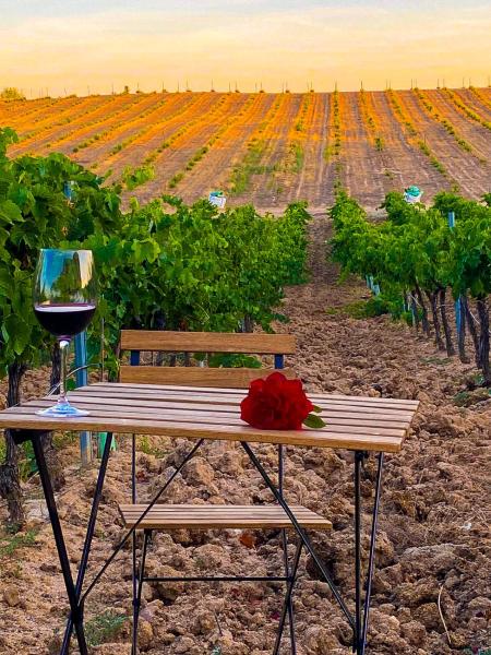 Finca Valdelajara A 20 Minutos De Puy Du Fou - La Puebla de Montalbán