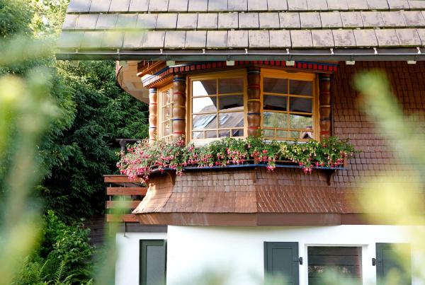 Chalet Am Birkenhain - Feldberg