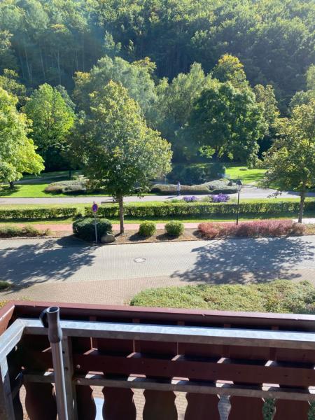 Apartment Am Park - Bad Lauterberg