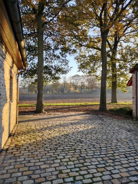 Dielpenhof - De Haan