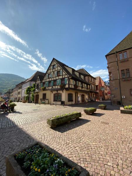 Coeur D'alsace 1 - Haut-Rhin
