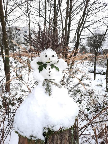 Grossdorf Ferienwohnung Waldsuite Im Harz - Goslar